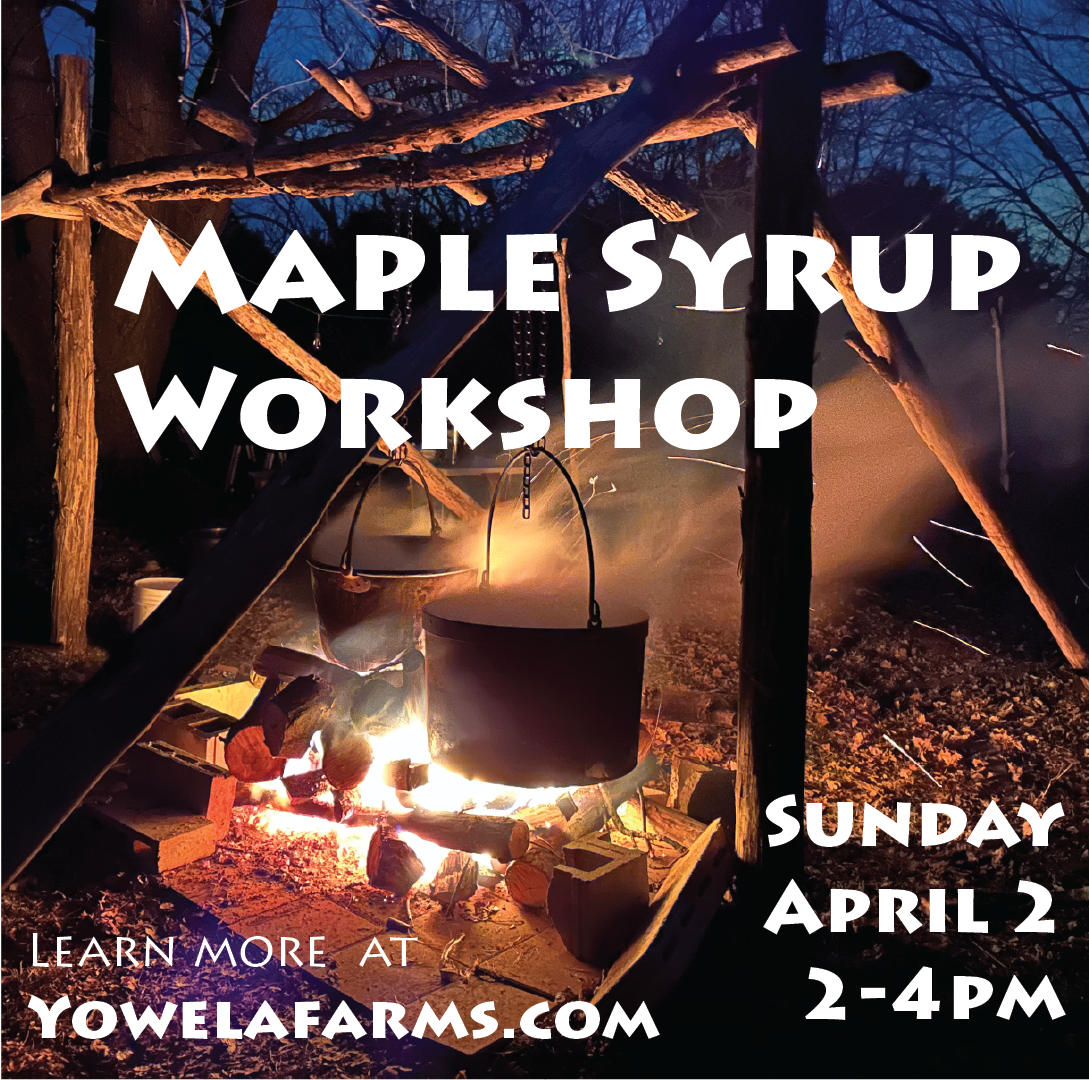 Maple Syrup Workshop – Yowela Farms